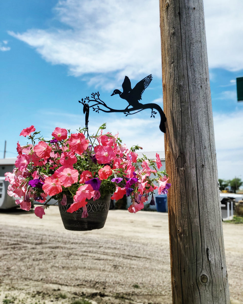 Metal Tree Branch Plant Hanger - Choose a BIRD – Wood River Iron Works